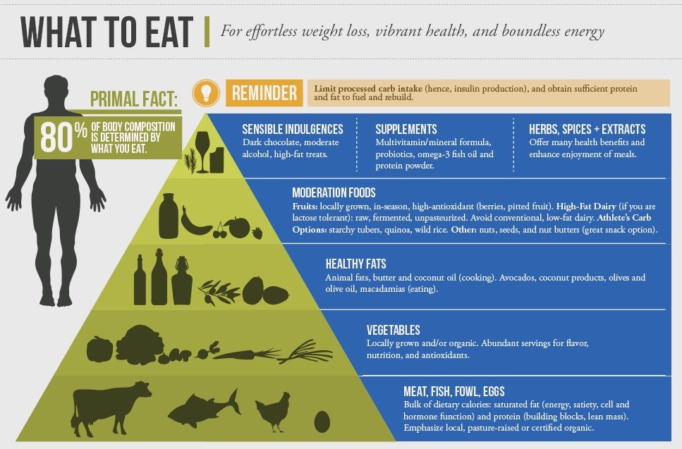 What is a primal diet | profitnesscorner